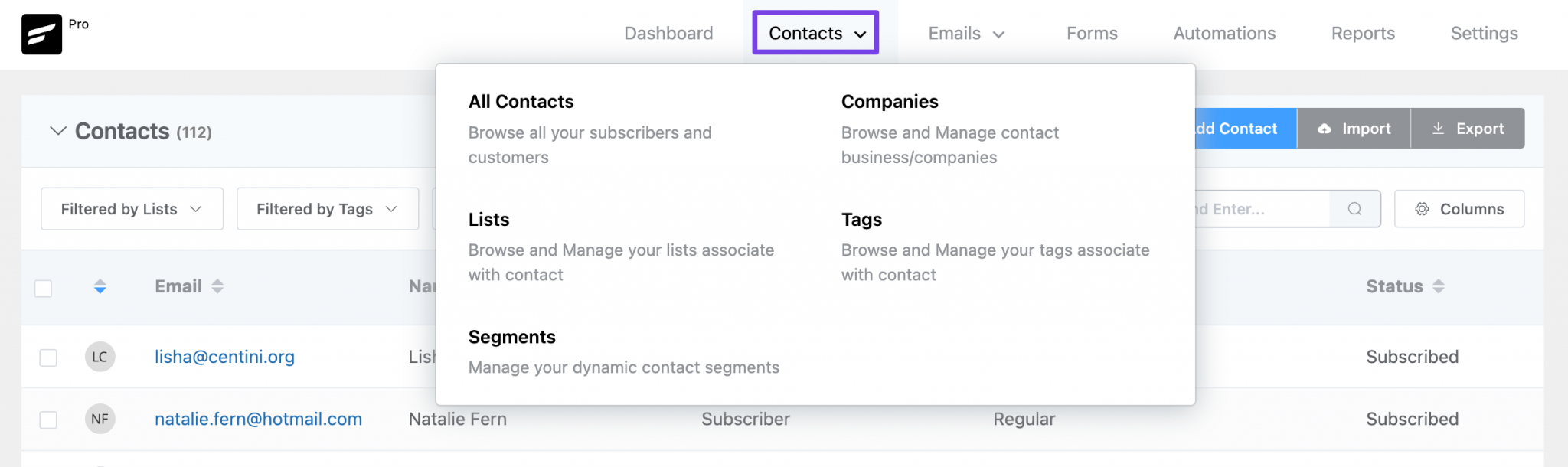 General & Dynamic Segments - FluentCRM